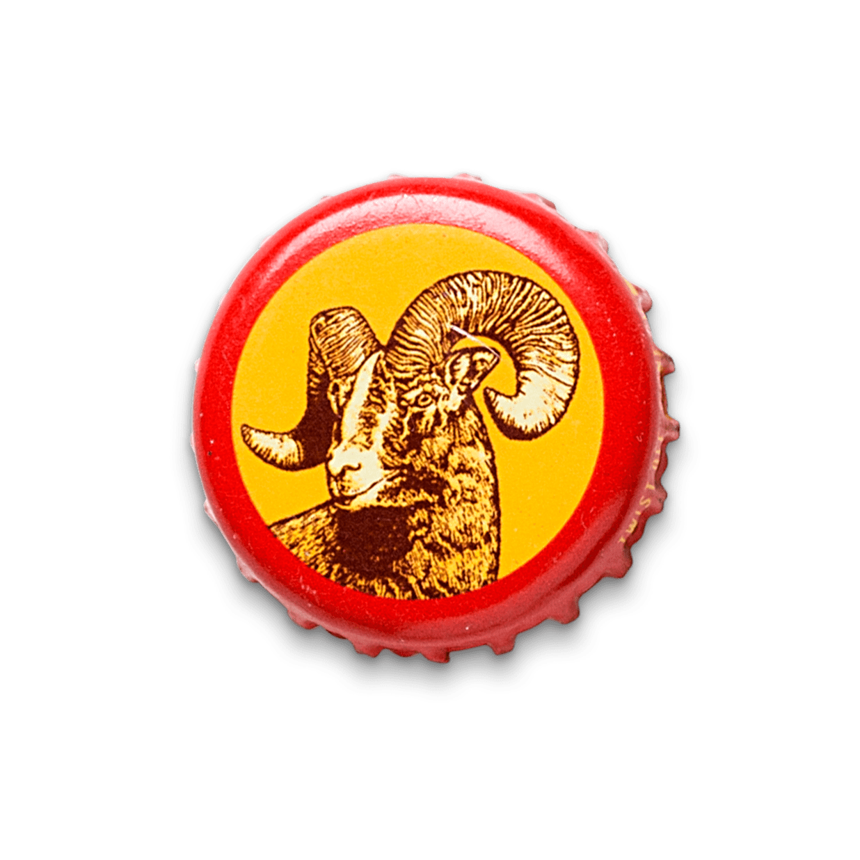 Shiner Packaging | McGarrah Jessee